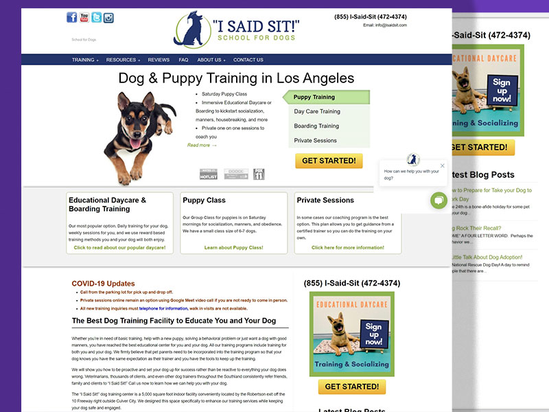 I Said Sit - School For Dogs | TechTice